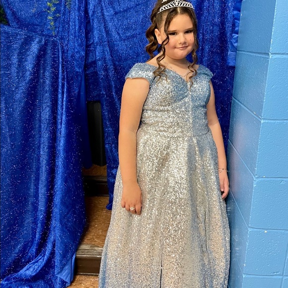 Panoply | Dresses | Panoply Blue Silver Ombr Ball Gown Read Description ...